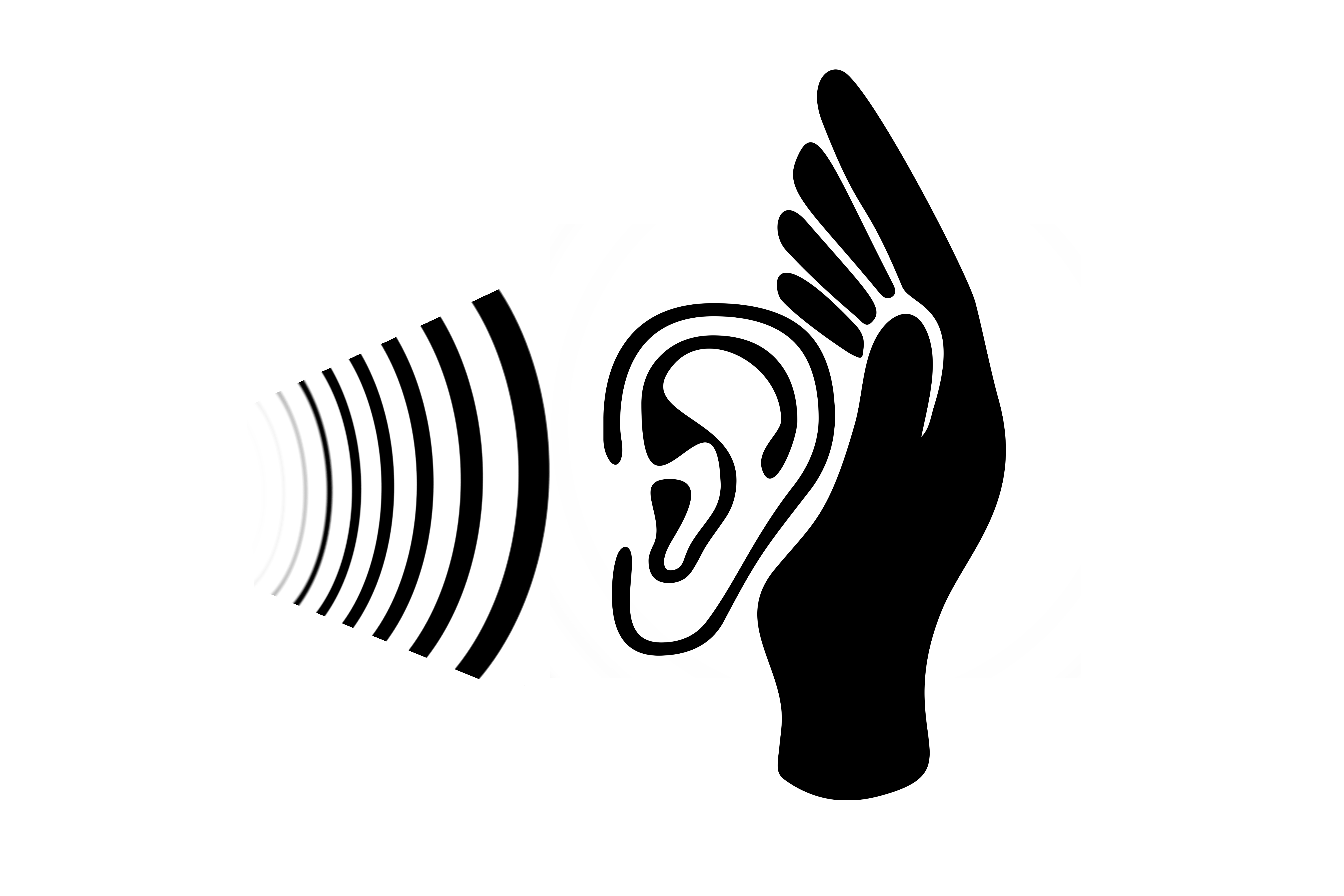 EL SISTEMA AUDITIVO: VIAJE EN AUTOBÚS DE LA OREJA AL CEREBRO ...