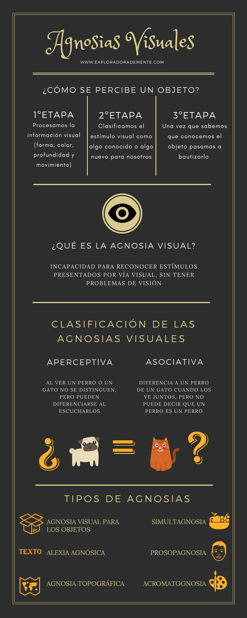 AGNOSIAS VISUALES: QUÉ SON, CLASIFICACIÓN Y TIPOS – Exploradora deMente